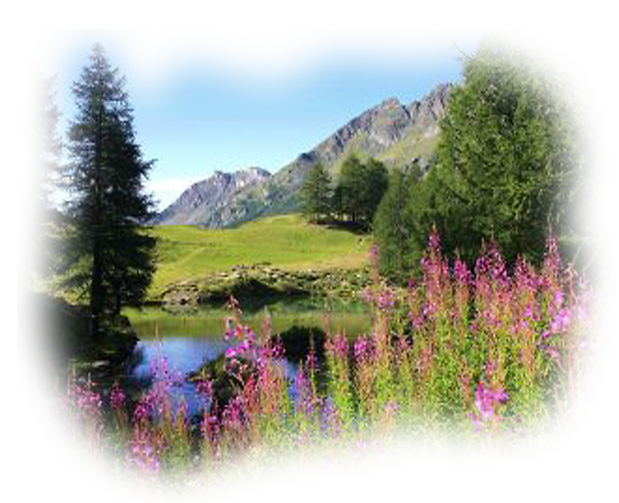 Experience The Original Garden of Eden – Pure Joy